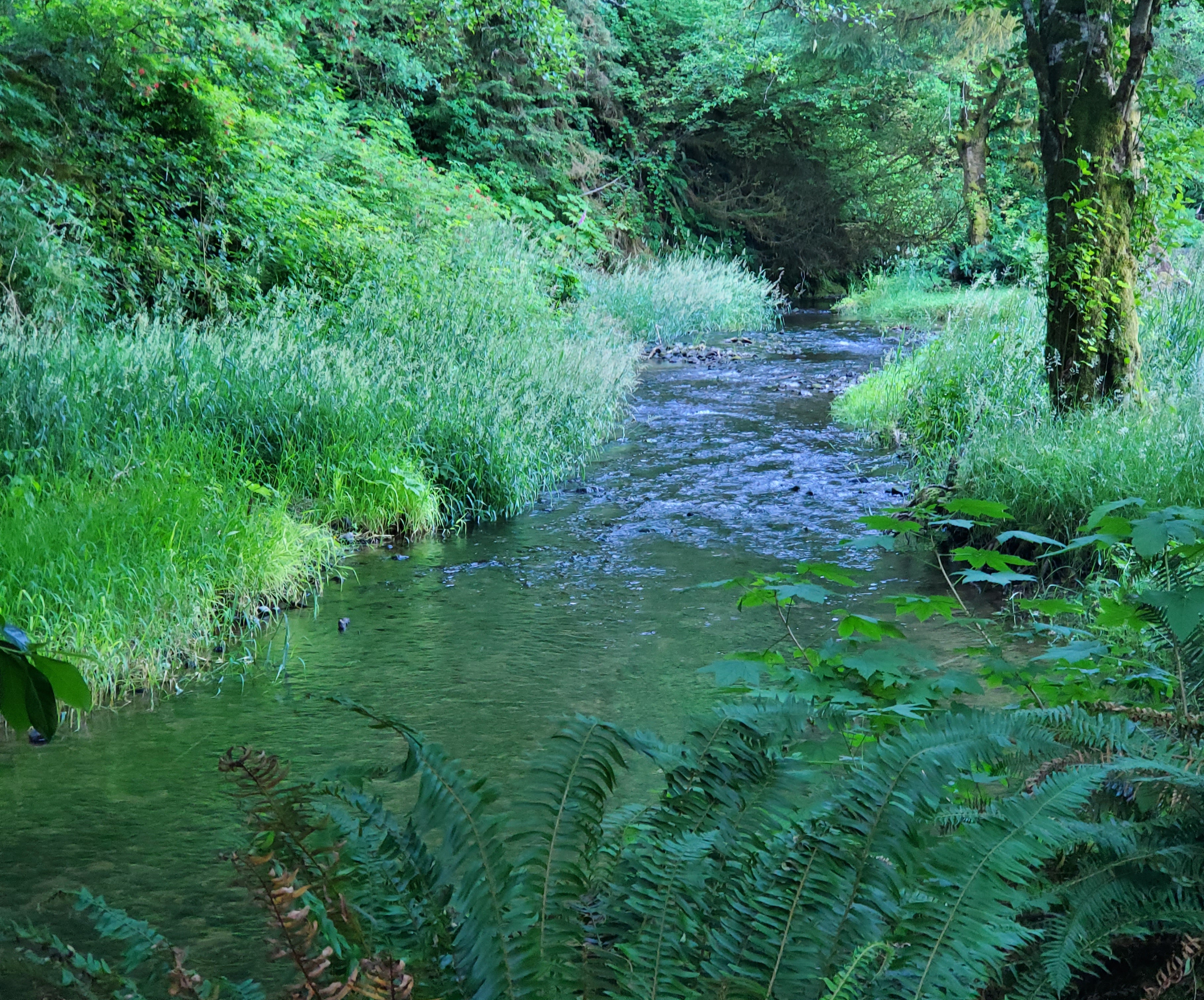 MJ Creations by the Creek – M.J. Creations by the Creek